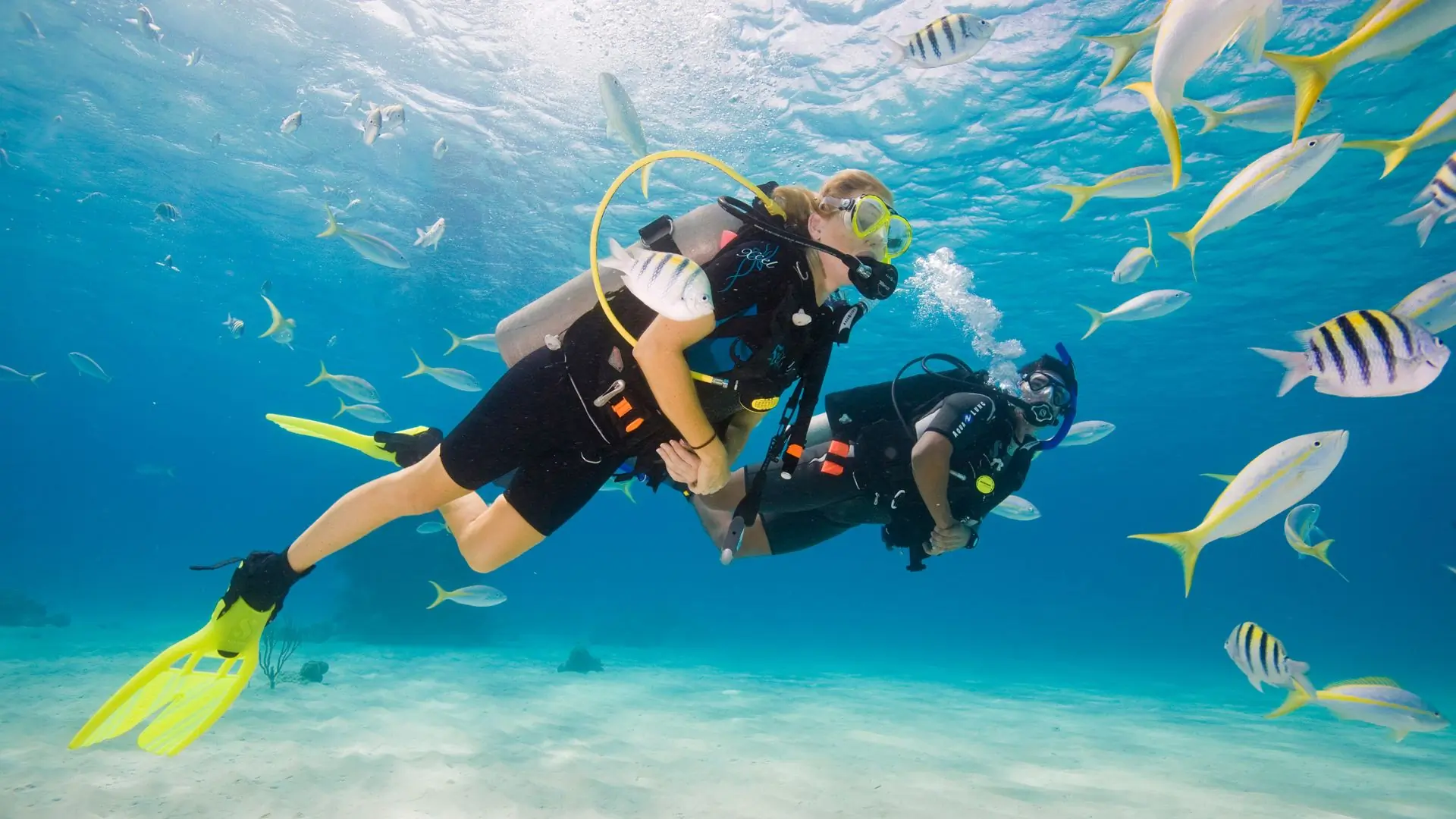 First Time Scuba Diving In Pattaya: What It Feels Like - Jomtien Dive ...